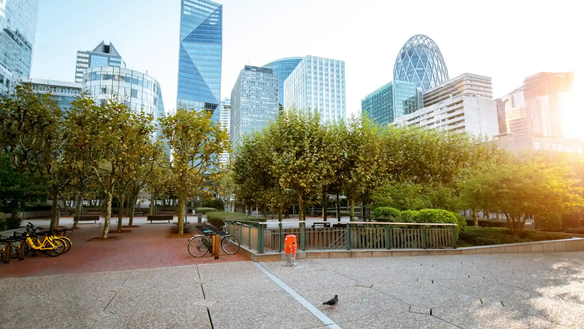 Dallas County Tax Appraisal District Protest Summary | Tax Cutter